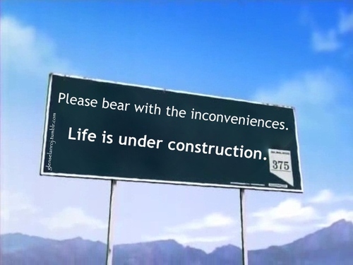 A Work in Progress – The View from a Drawbridge