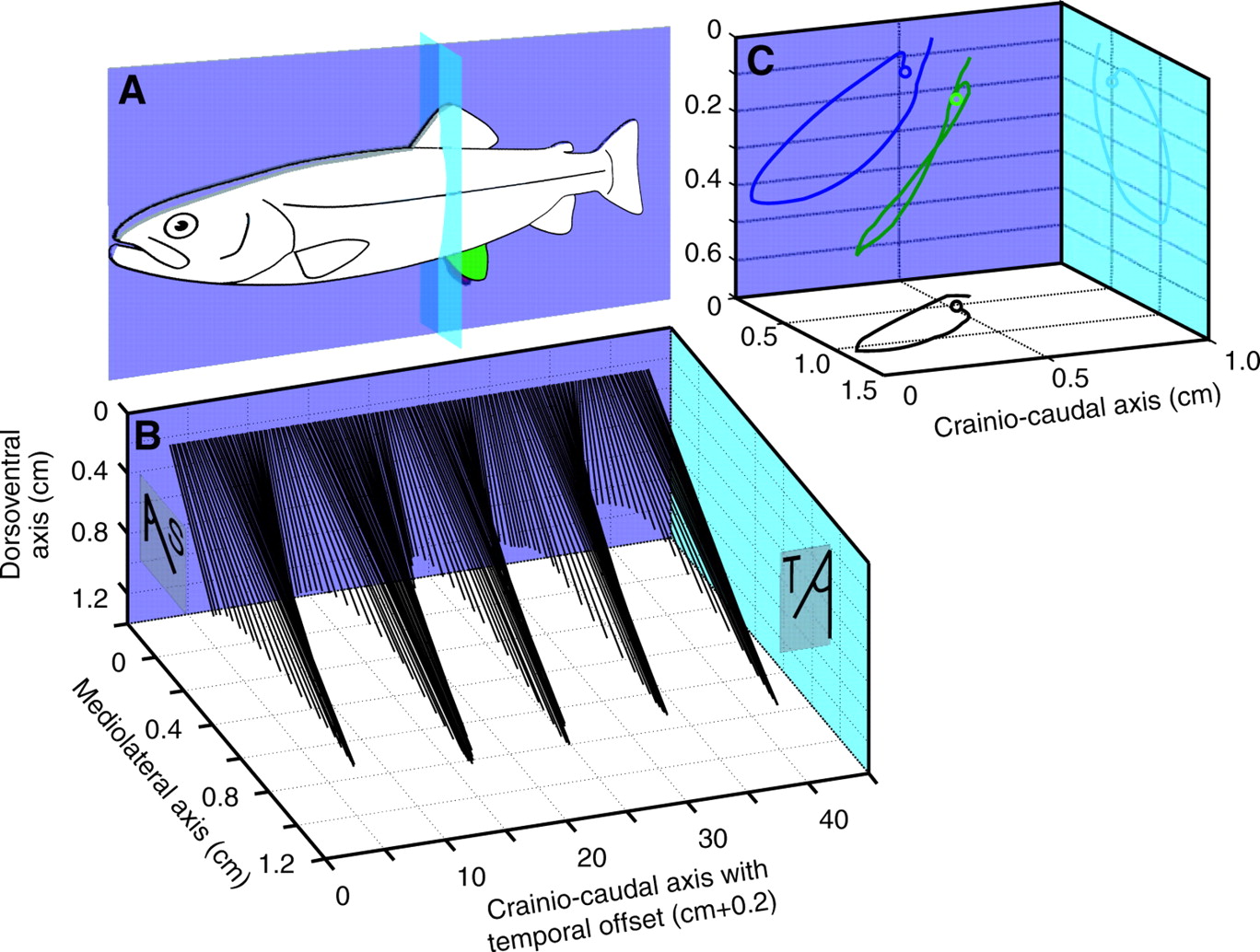 Other Dimensions – The View from a Drawbridge