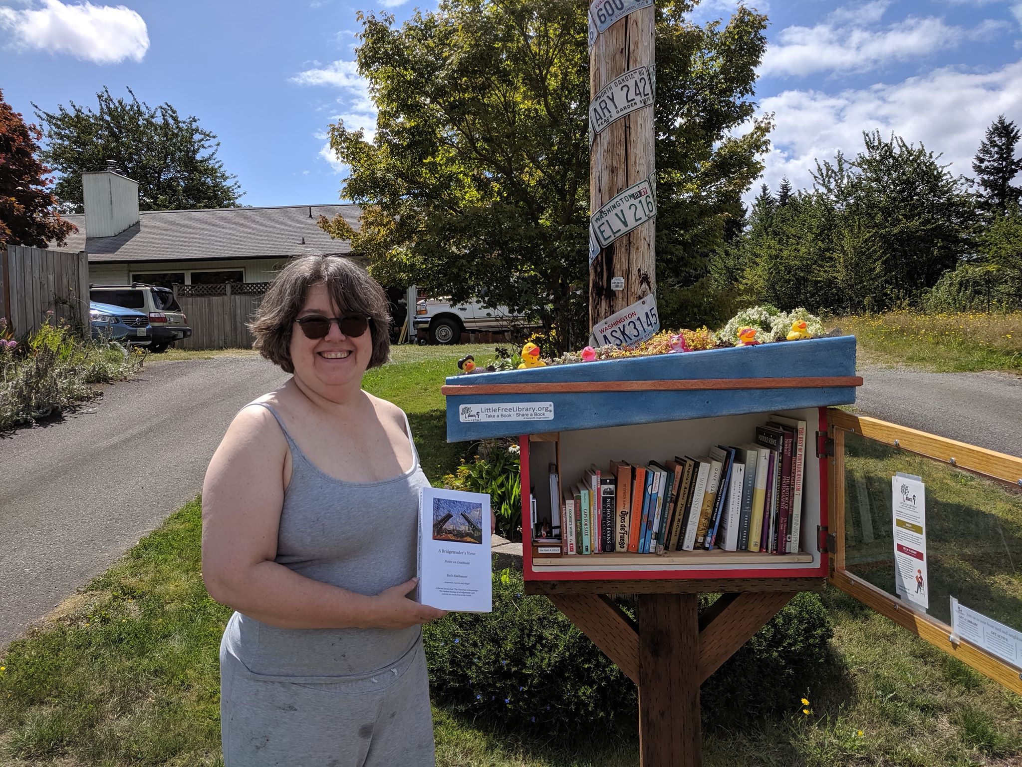 A Little Library for You – The View from a Drawbridge