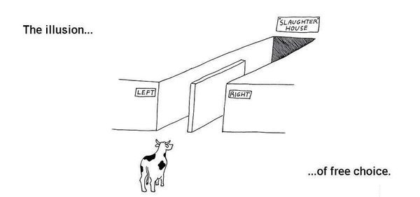 This Ain’t No Meritocracy – The View from a Drawbridge