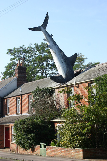 The Headington Shark – The View from a Drawbridge